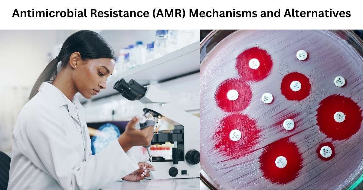 Antimicrobial Resistance (AMR) Mechanisms and Alternatives