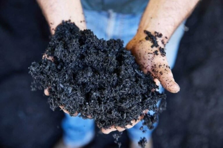 Biochar: Properties, Production, And Applications