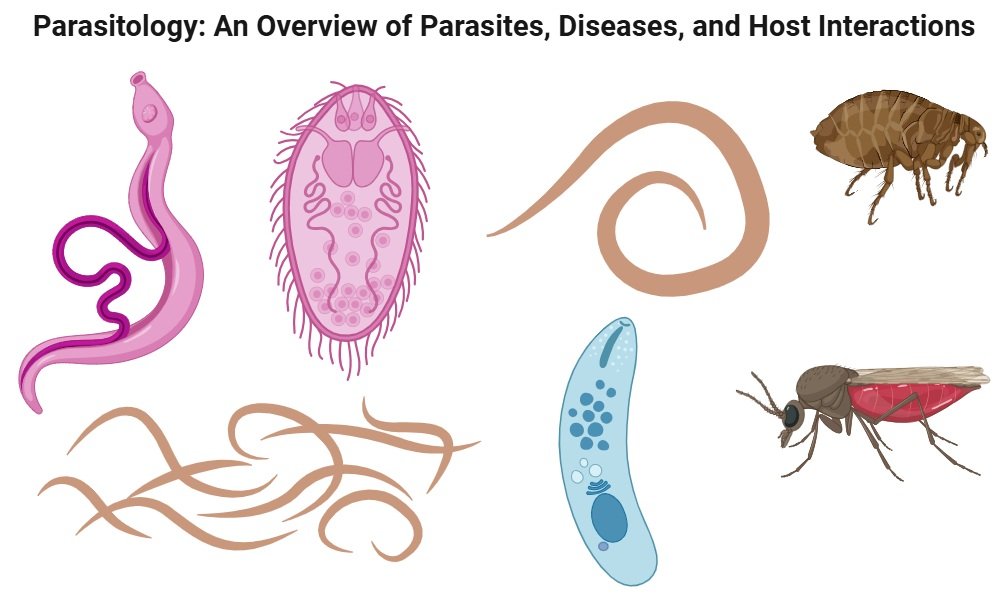 Parasitology: An Overview of Parasites, Diseases, and Host Interactions