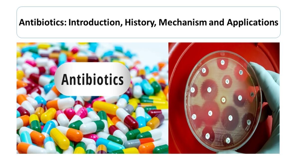 Antibiotics: Introduction, History, Mechanism And Applications