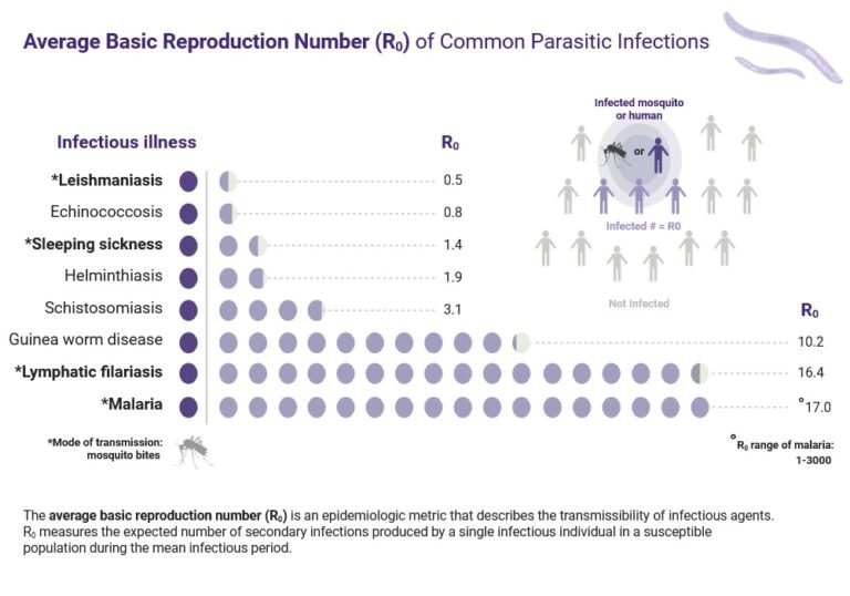 Parasitology: An Overview of Parasites, Diseases, and Host Interactions