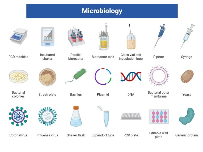 What Is Microbiology? History, Scopes & Applications 2026